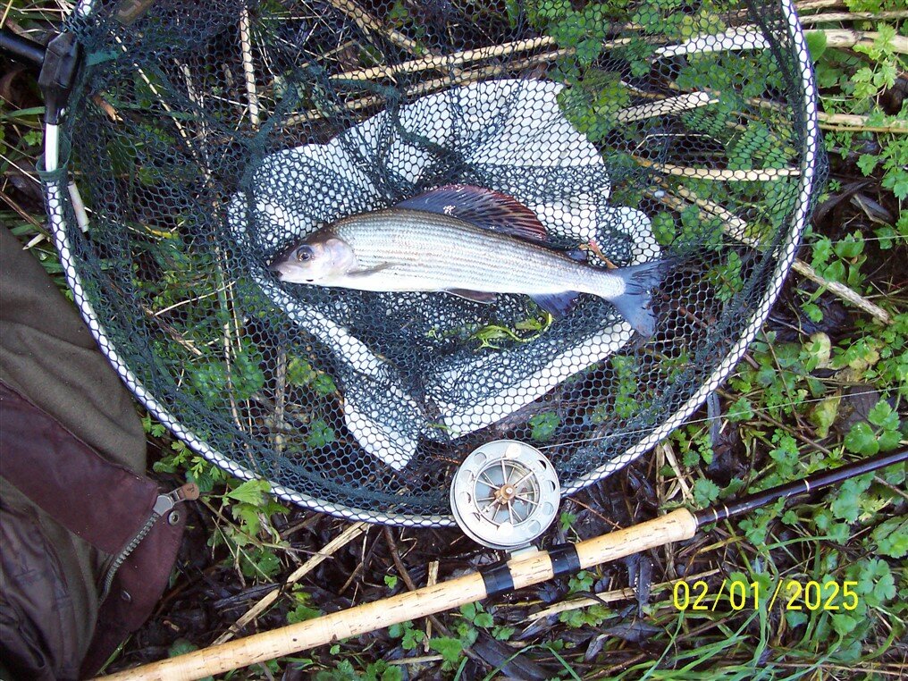 2 January 2025 - Chris Plumb's Blog - Fishing Forums from Anglers' Net