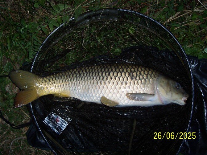 26 June - Chris Plumb's Blog - Fishing Forums from Anglers' Net