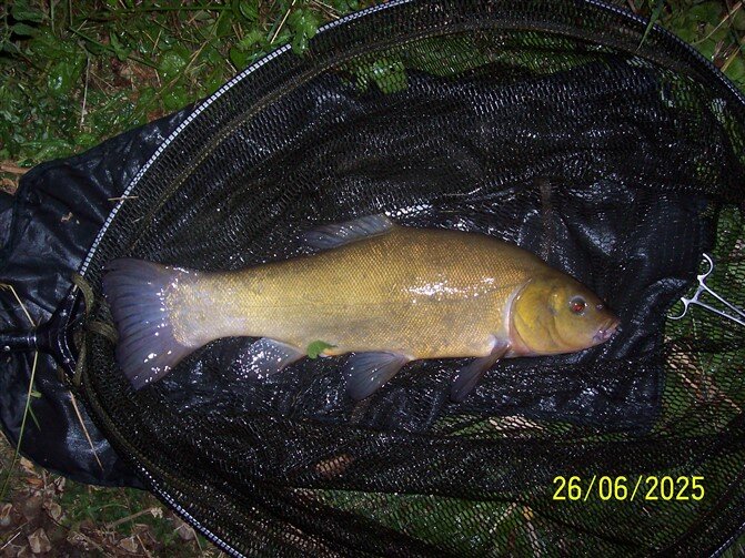 26 June - Chris Plumb's Blog - Fishing Forums from Anglers' Net